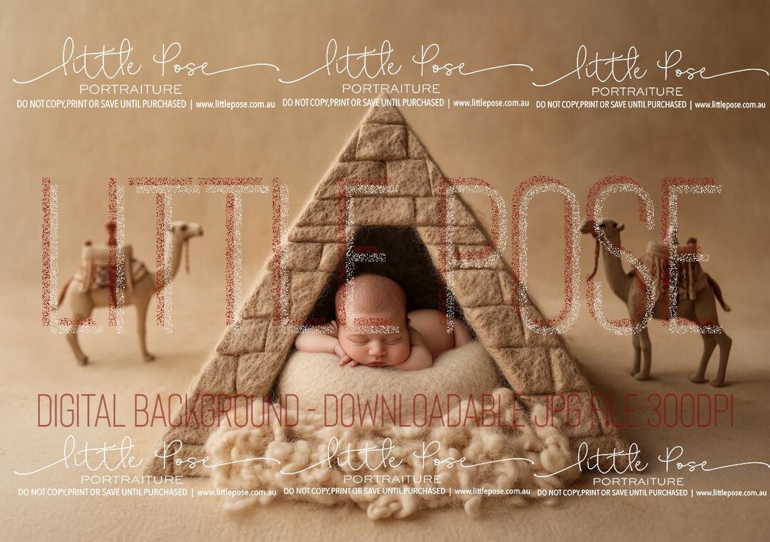 NEW Newborn Digital Backdrop, Newborn Background, Newborn Composite ...