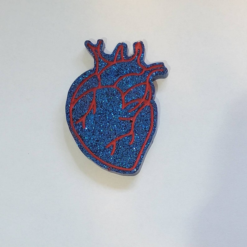 Anatomical Heart Magnet, EKG Tech, Cardiac Nurse, Doctor, Badge Buddy ...