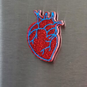 Anatomical Heart Magnet, EKG Tech, Cardiac Nurse, Doctor, Badge Buddy ...