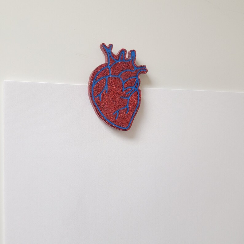Anatomical Heart Magnet, EKG Tech, Cardiac Nurse, Doctor, Badge Buddy ...