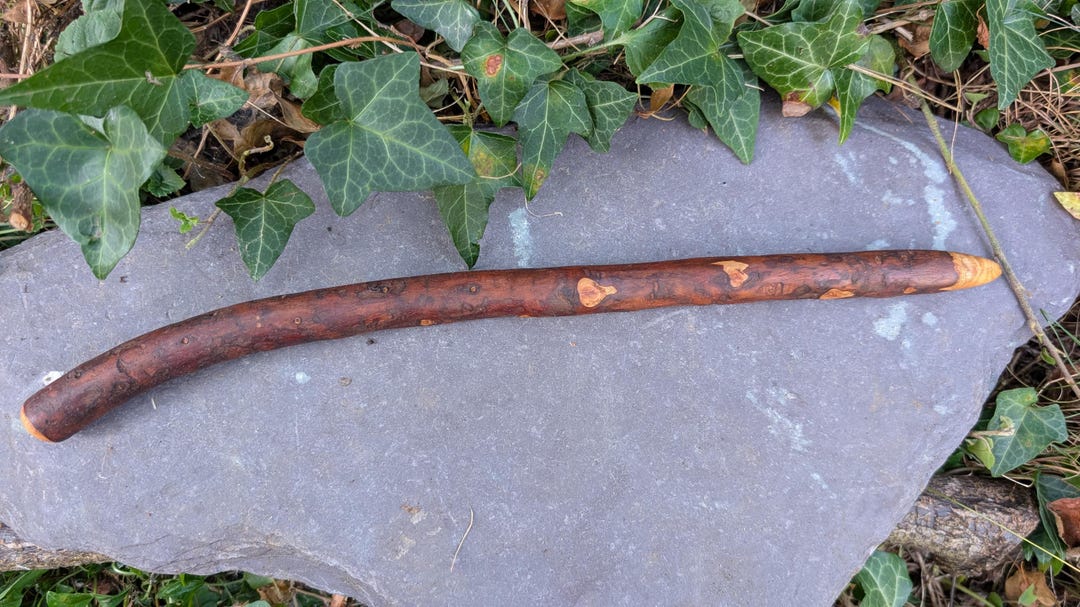 Hand Carved Larch Wand - Etsy