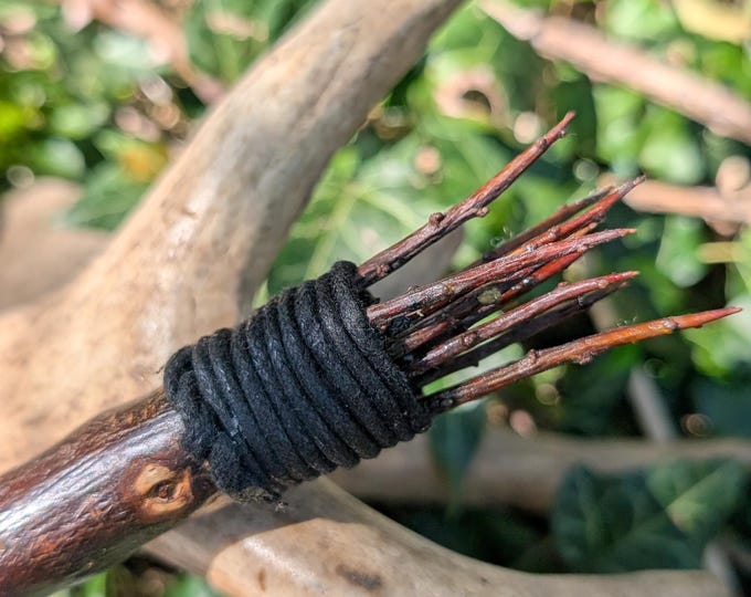 Blackthorn Wand With Thorns (blasting Rod) - Etsy