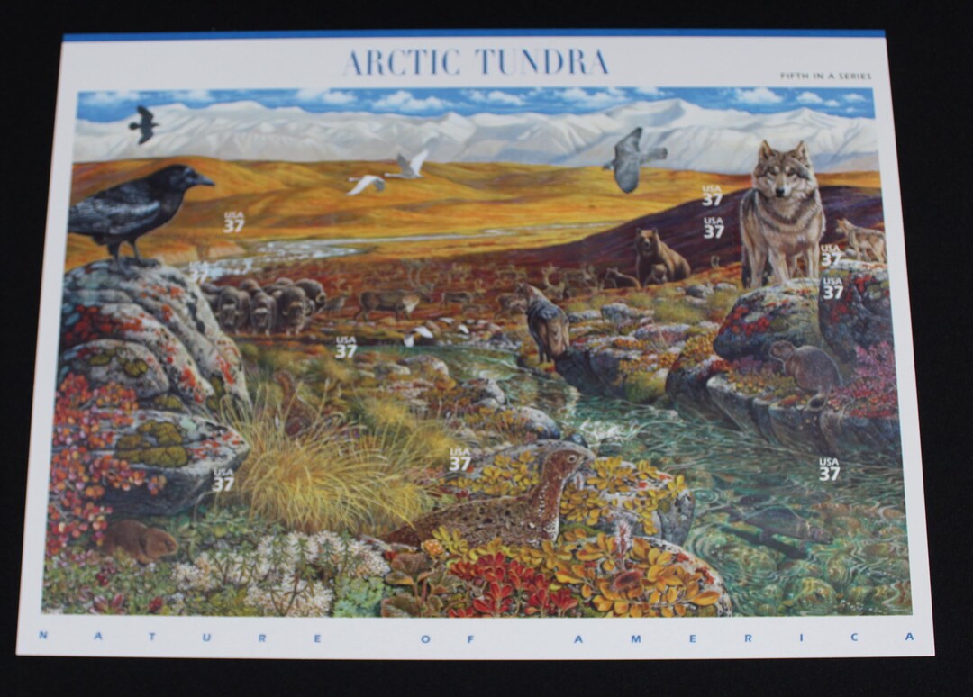 Arctic Tundra Stamp Sheet: Nature of America, 2000 Scott 3378 - Etsy