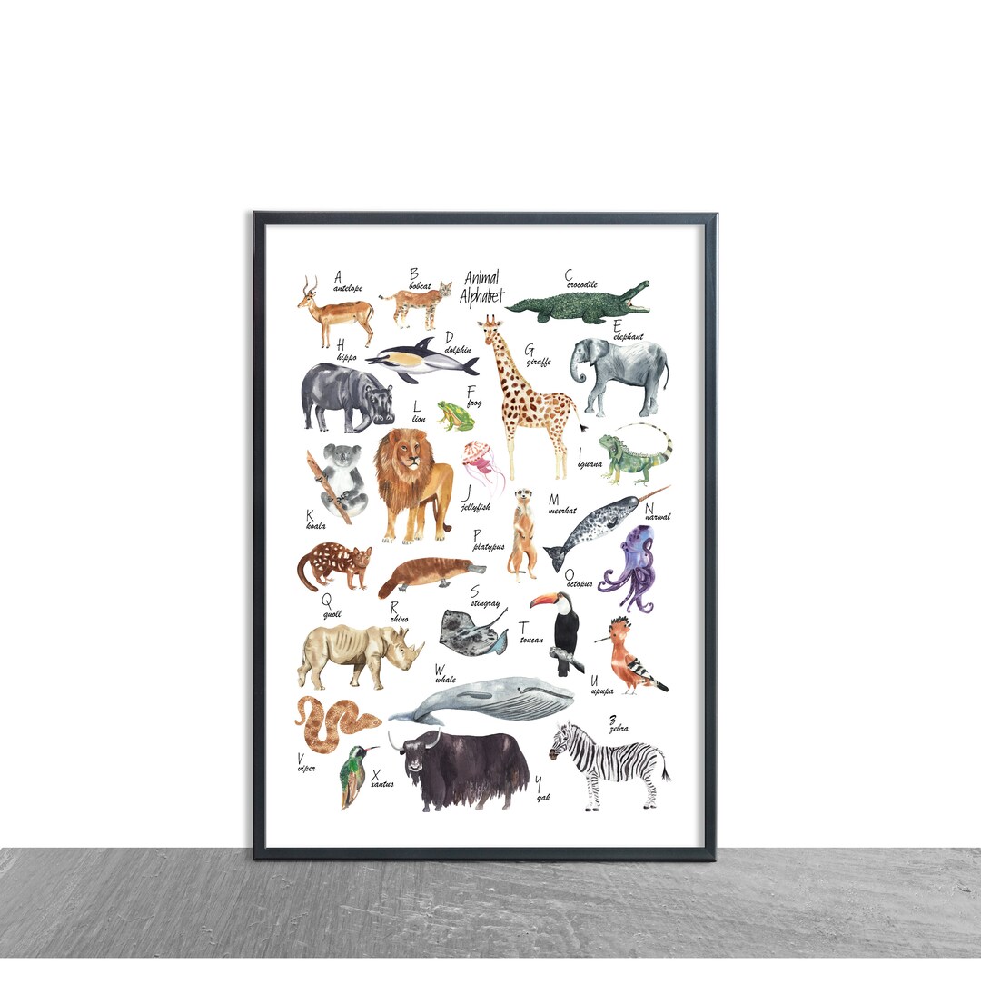 Animal Alphabet - A4 A-z Animals Nursrey- Childrens Room - Playroom ...
