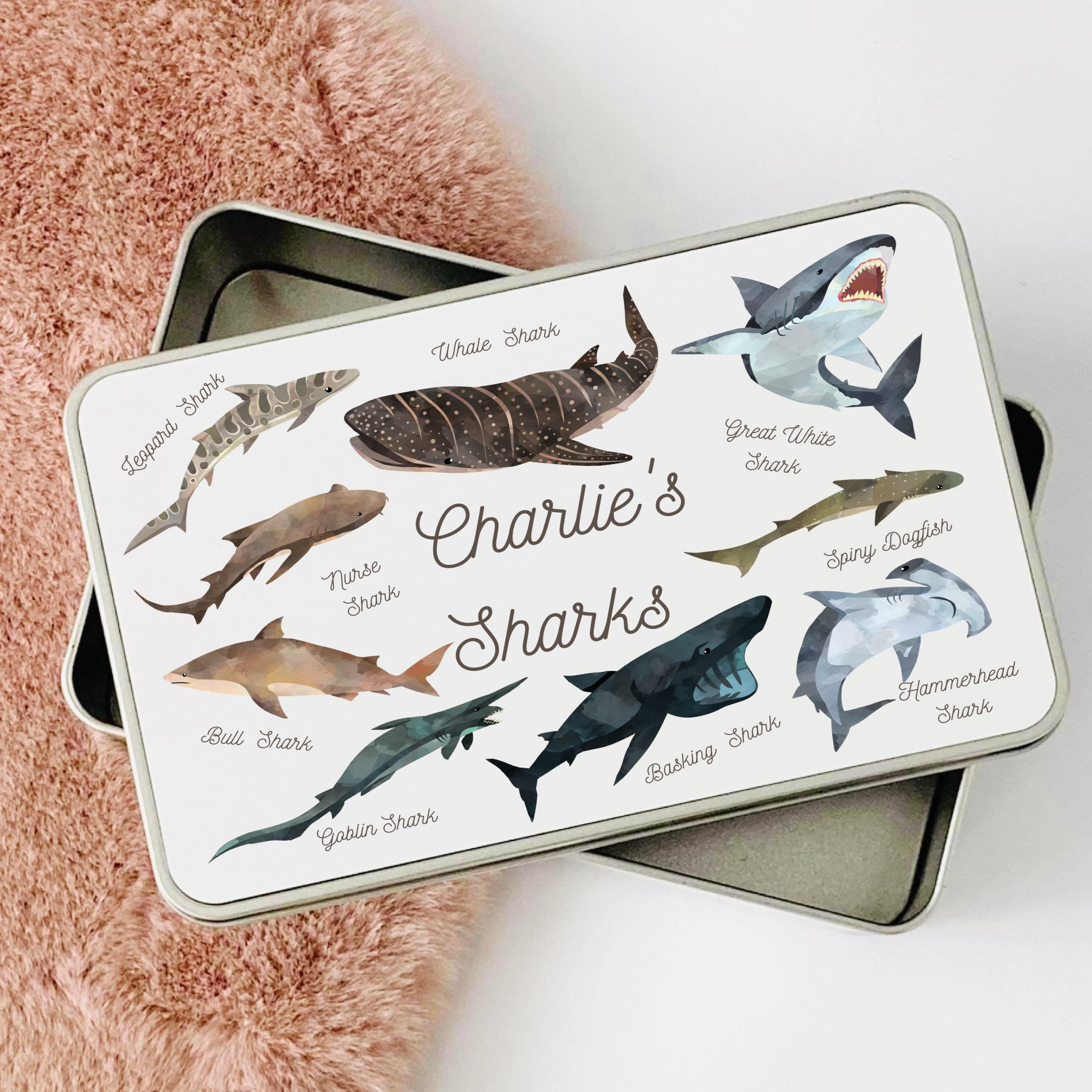 Shark Tin Labelled Sharks of the World-watercolour | Etsy UK