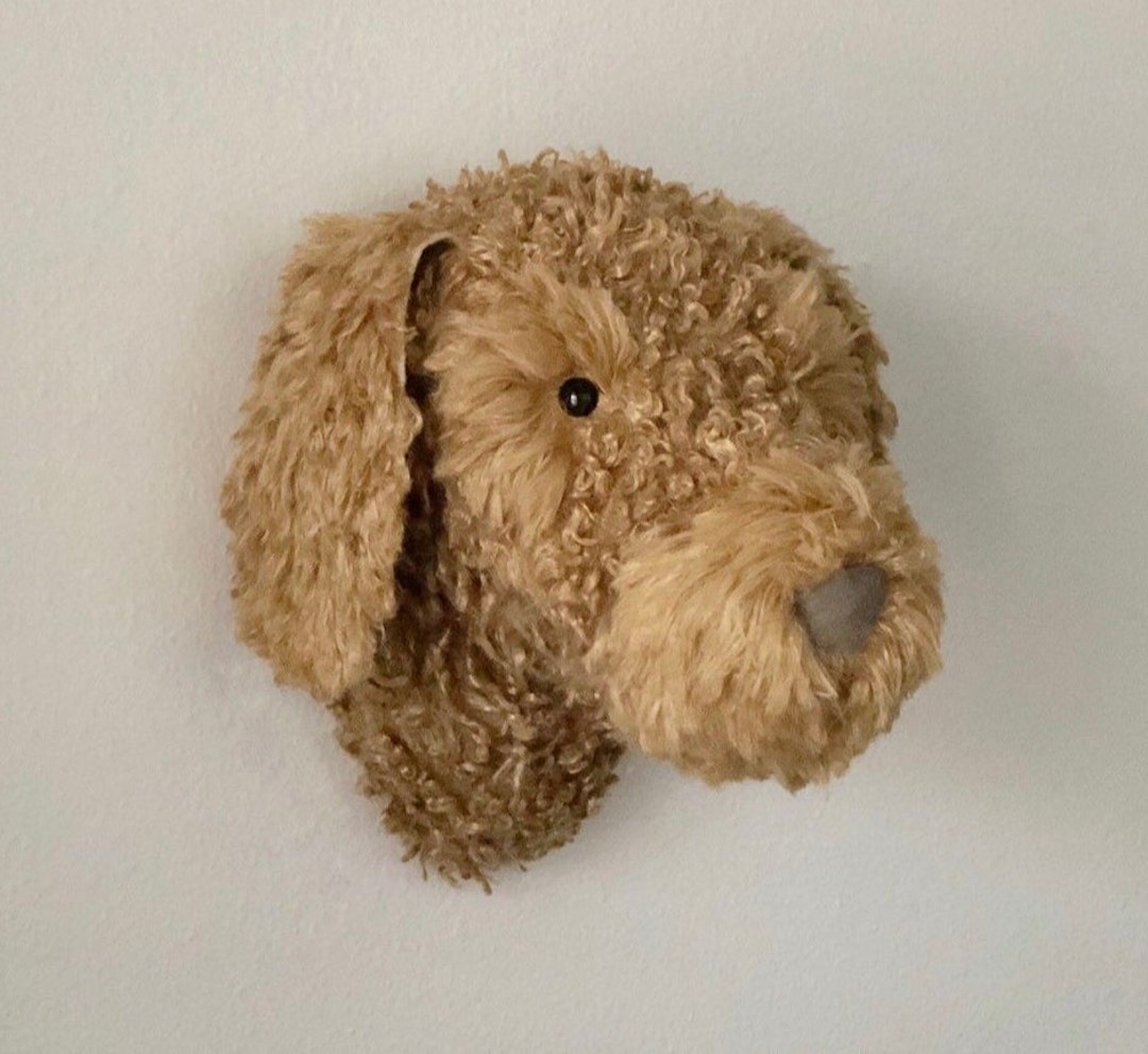 Golden Doodle Wall, Goldendoodles Dogs, Golden Doodle Puppy Dog, Golden ...