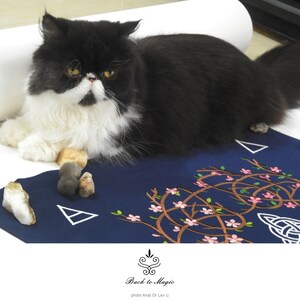 Embroidered Divination Cloth. Altar Cloth. Rune Casting Cloth. 21-22 ...