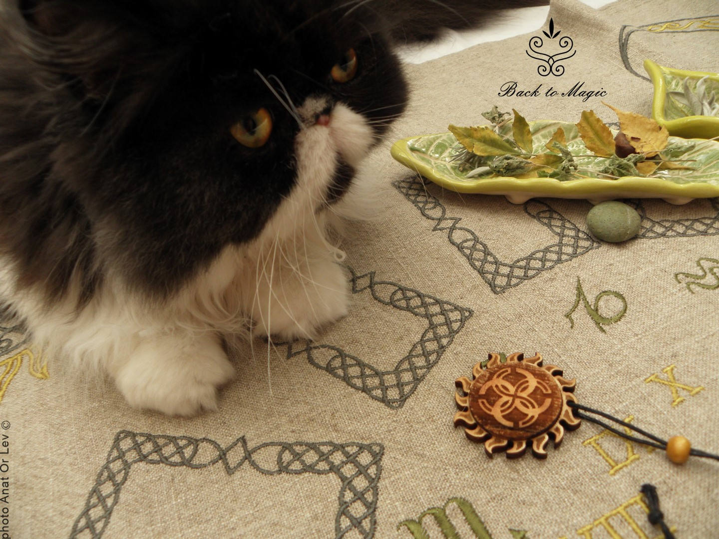 Embroidered Cloth for Astrological Tarot Spread. Tarot Cloth. - Etsy Israel