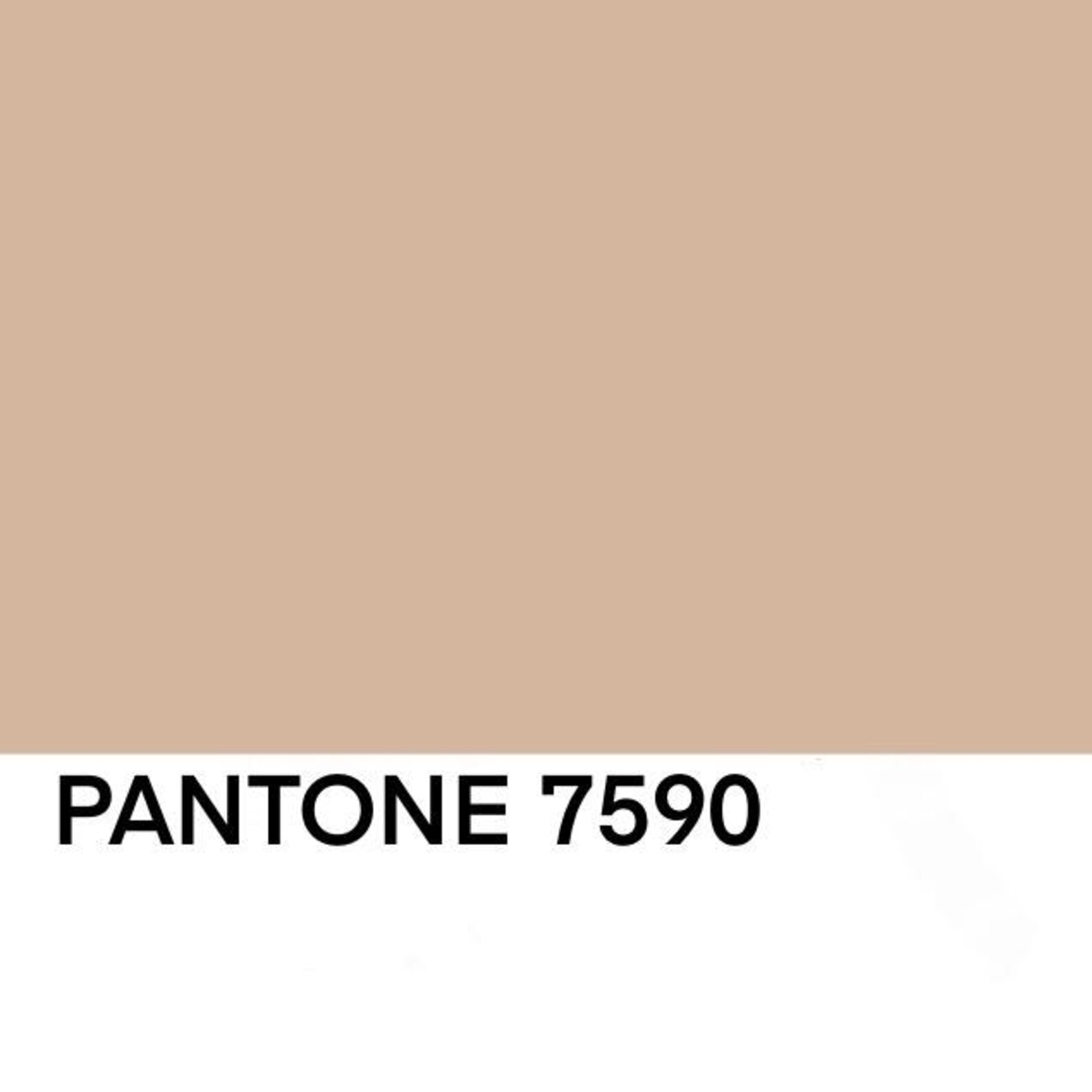 Pantone 7590 Windy Gouache Portrait Postcard - Etsy