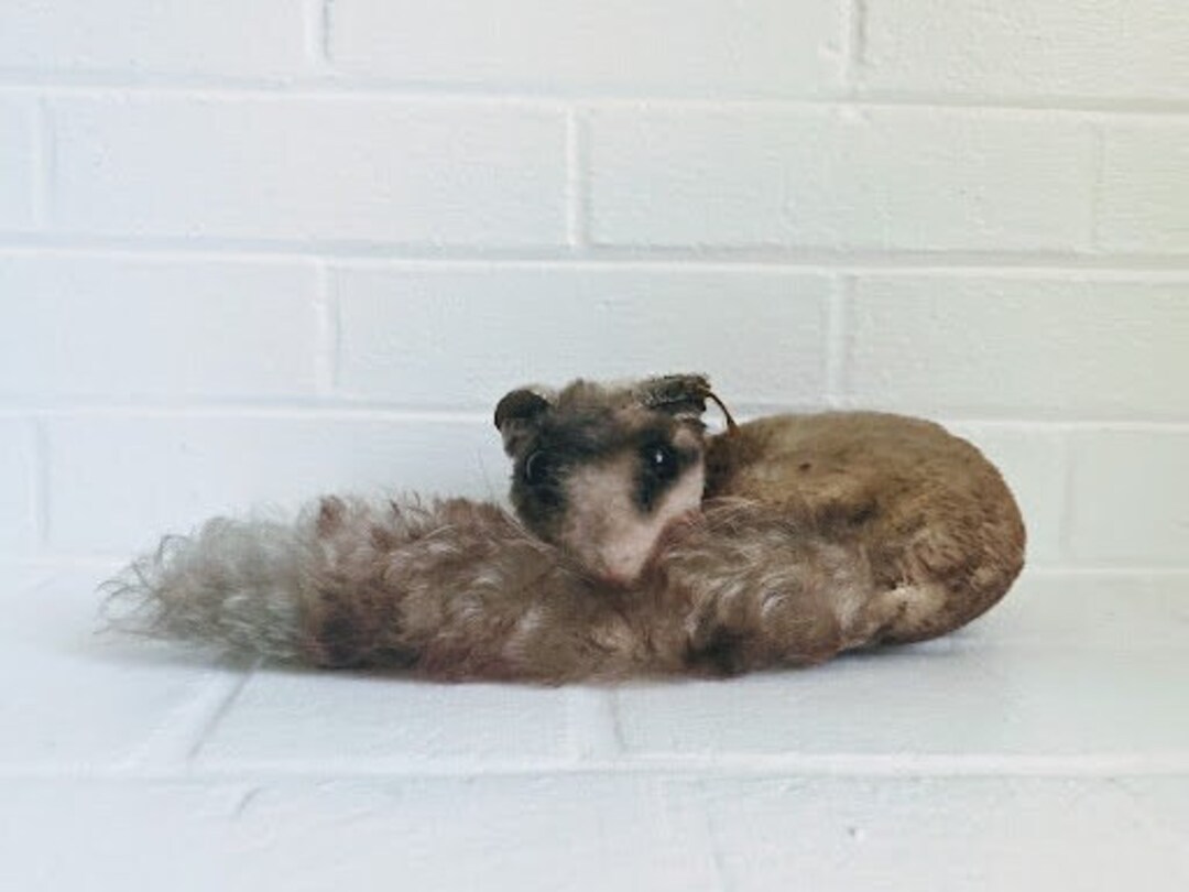 Steiff dormy Siebenschlaefer Dormouse Vintage Plush Toy - Etsy