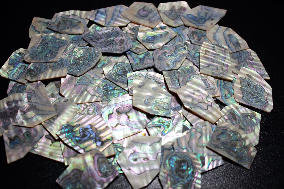 1oz New Zealand Abalone Pearls Inlay Material Thickness - Etsy