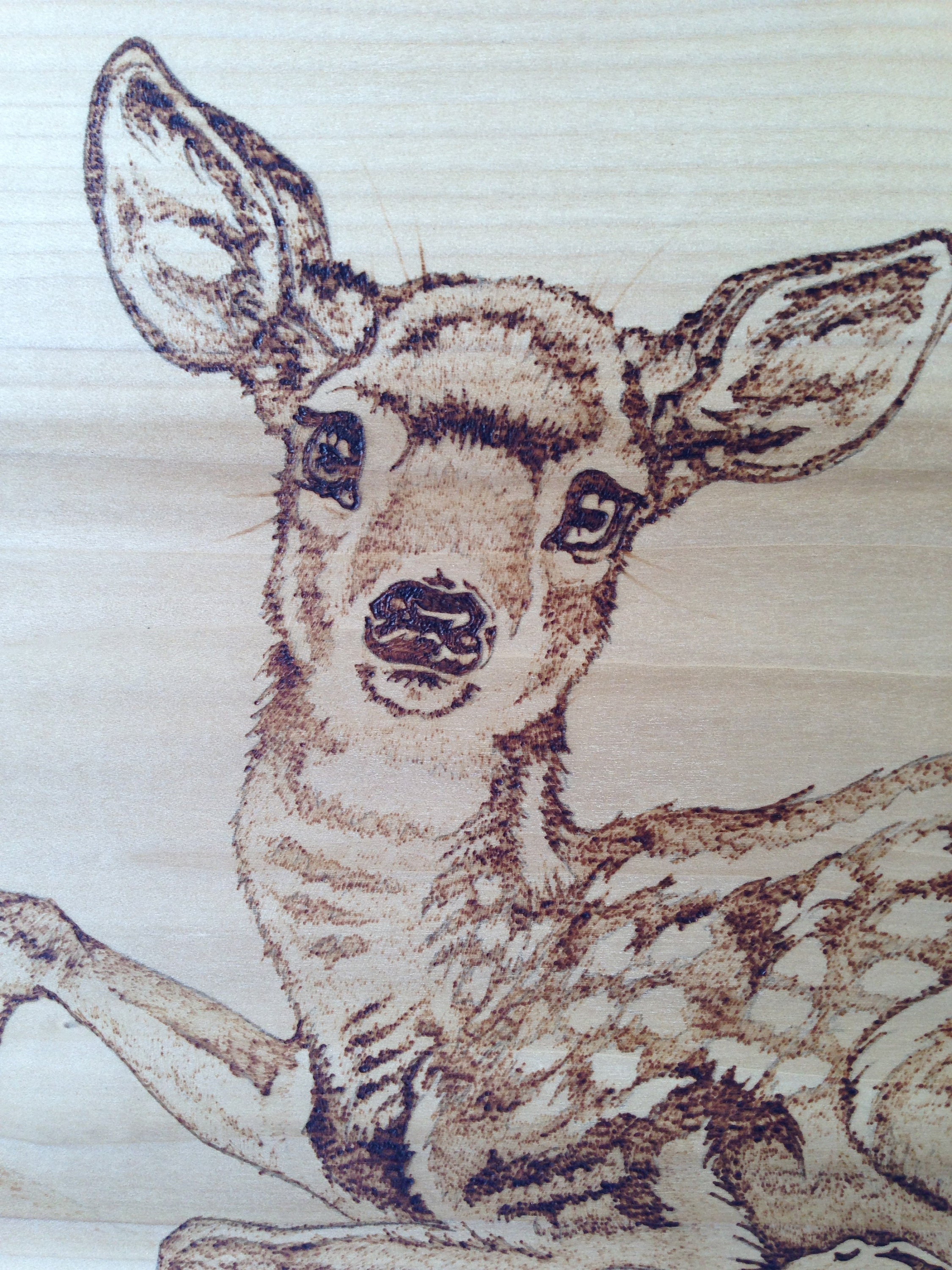Fawn Wood Sign Wood Burned Art Pyrography Deer Picture - Etsy