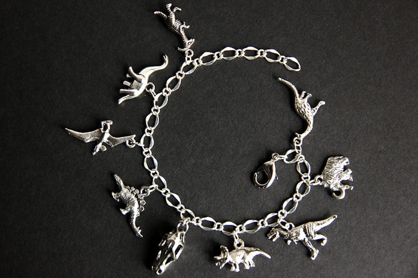 Dinosaur Bracelet. Paleontology Charm Bracelet. Dinosaur Lover Bracelet ...