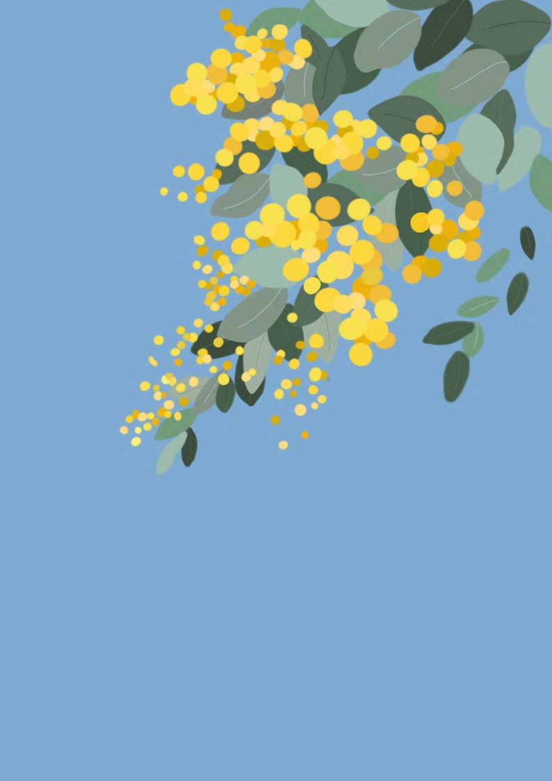 Australian Wattle | Wattle Leaves | Digital Painting Australian Wattle ...