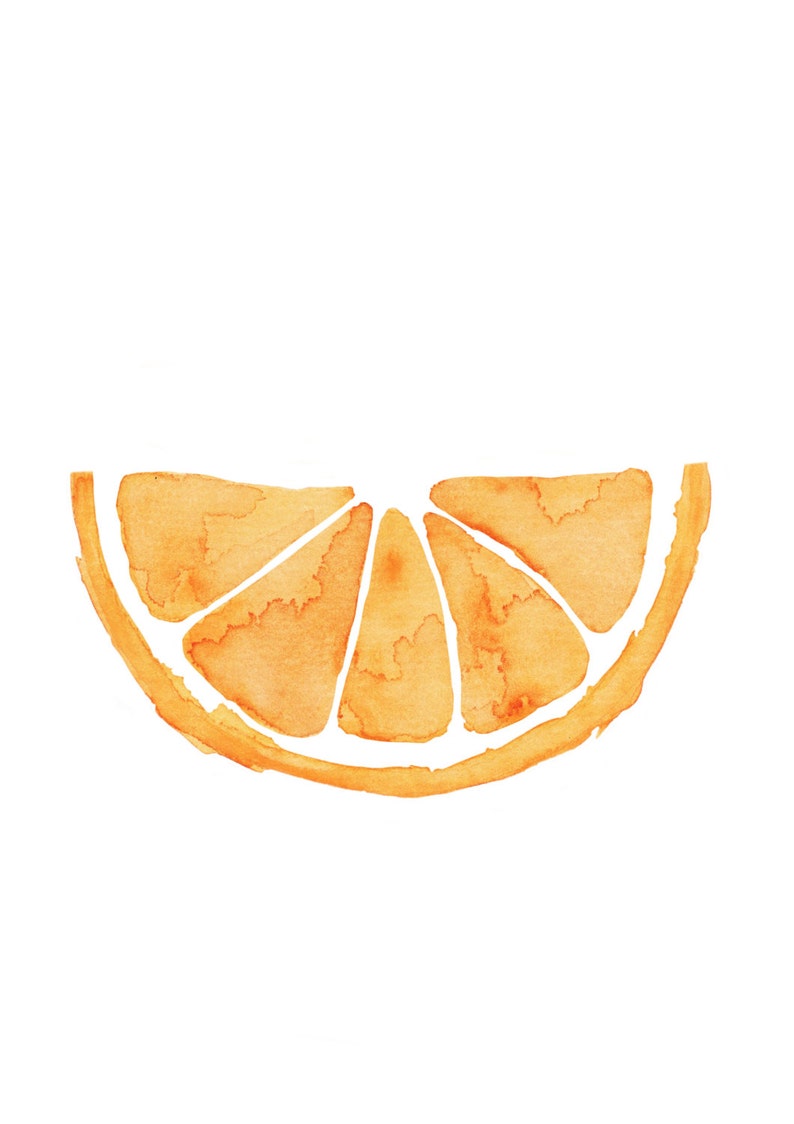 Watercolour Orange Halves | Orange Slice | Half Orange Segment ...
