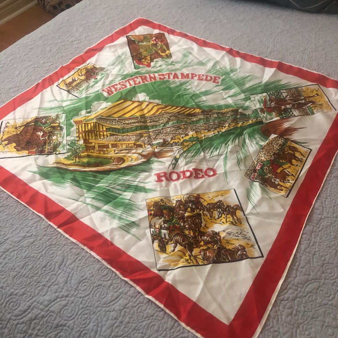 Vintage Western Stampede Rodeo Calgary Alberta Canada Souvenir Scenic ...