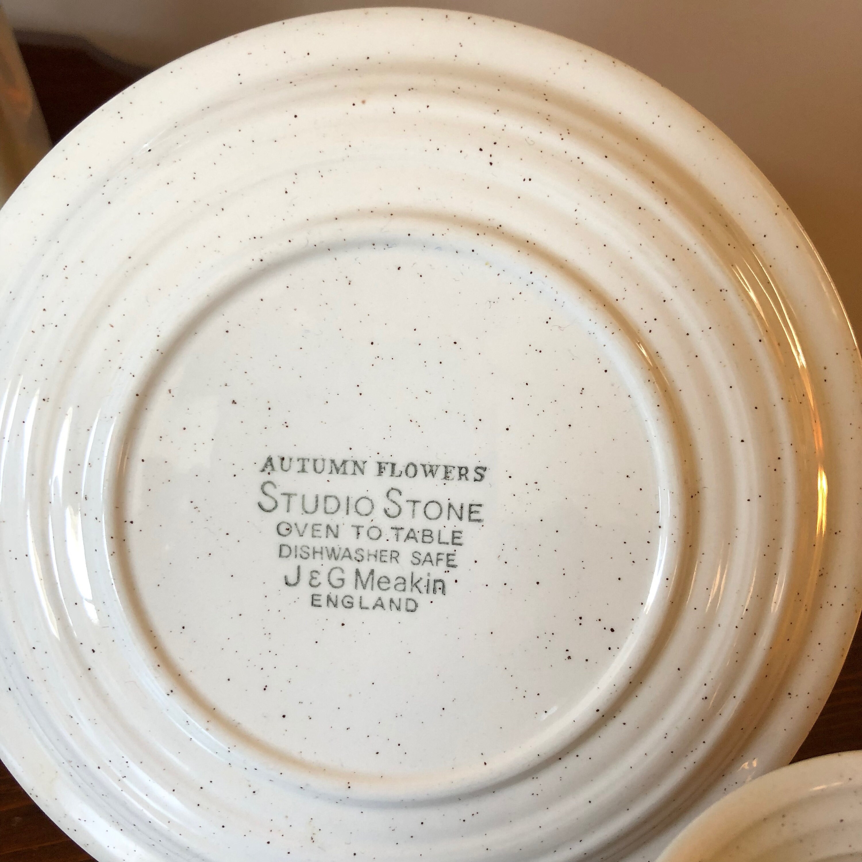 J & G Meakin Studio Stone Autumn Flowers Cup and Saucer - Etsy
