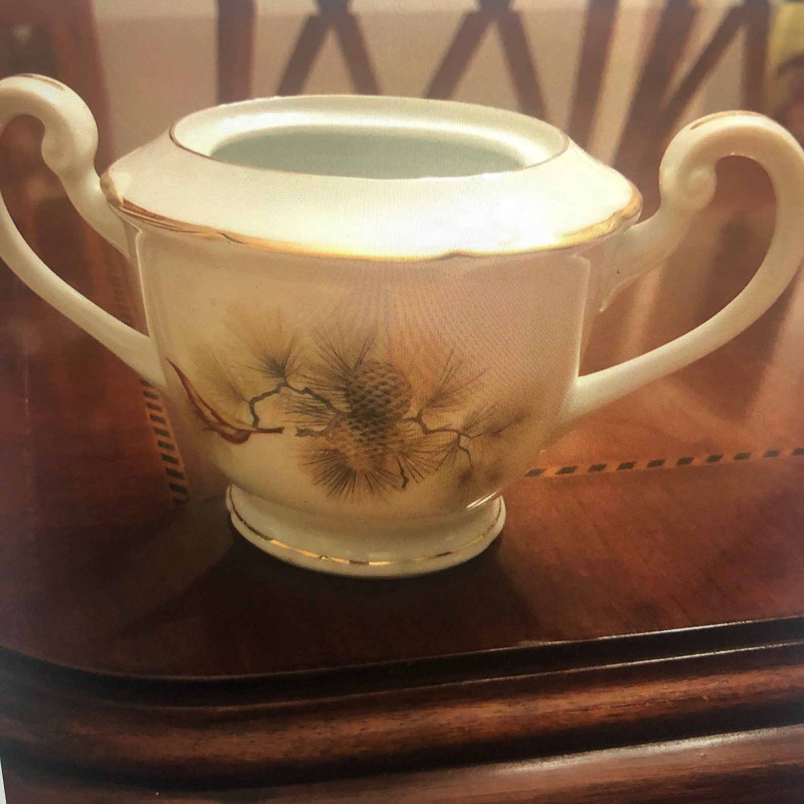 Vintage Pine Tree Translucent Dinnerware Pieces - Etsy