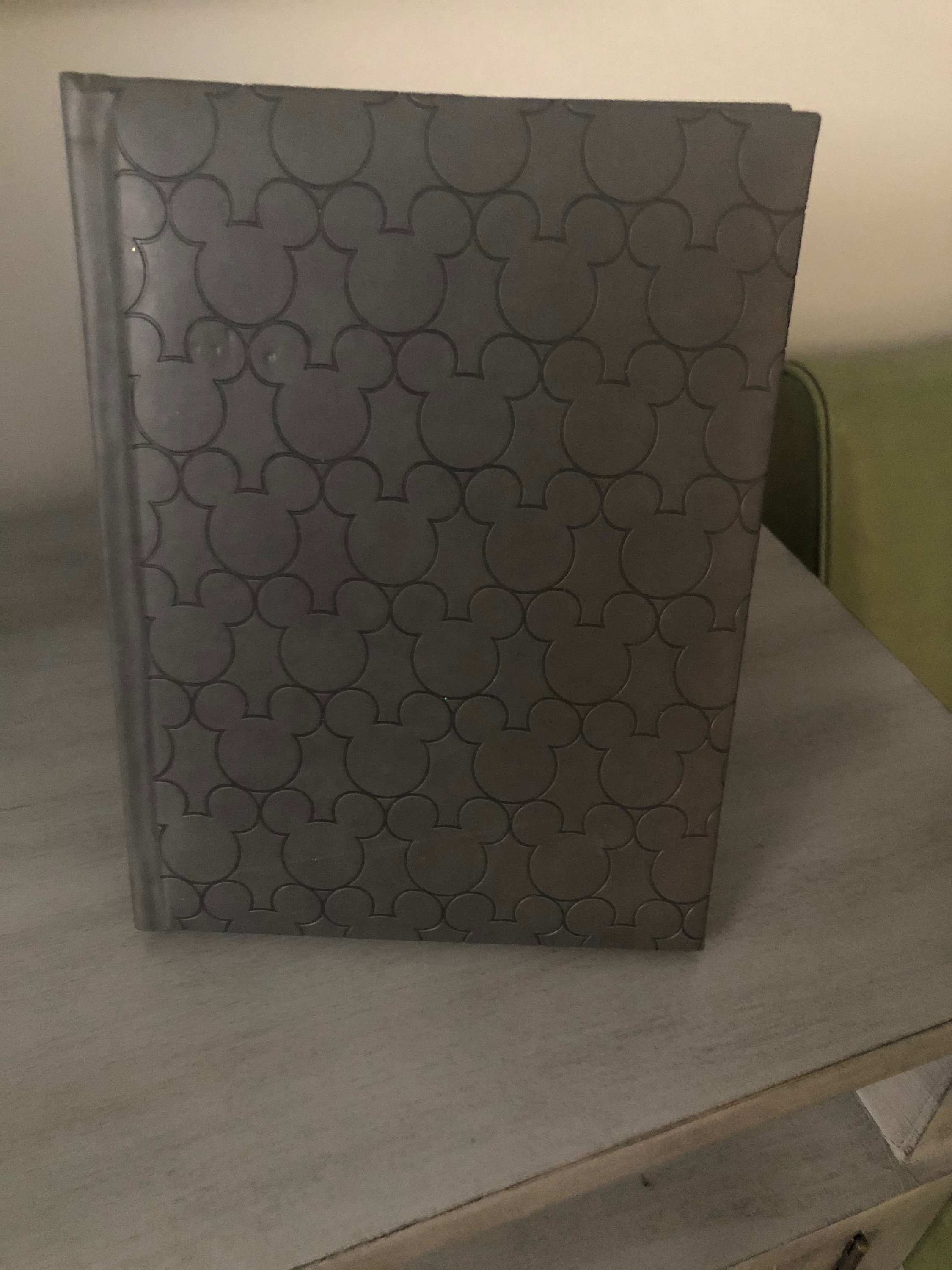 Minnie Mouse OR Mickey Mouse Journal - Etsy