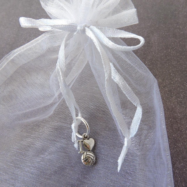 Netball Gift Bag Party Bag Team Gift Organza Bag With - Etsy