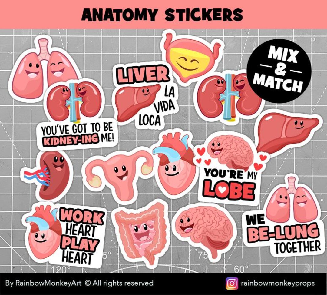 Anatomy Puns Sticker Mix and Match Your Own, 2 Inch Sticker, Funny ...