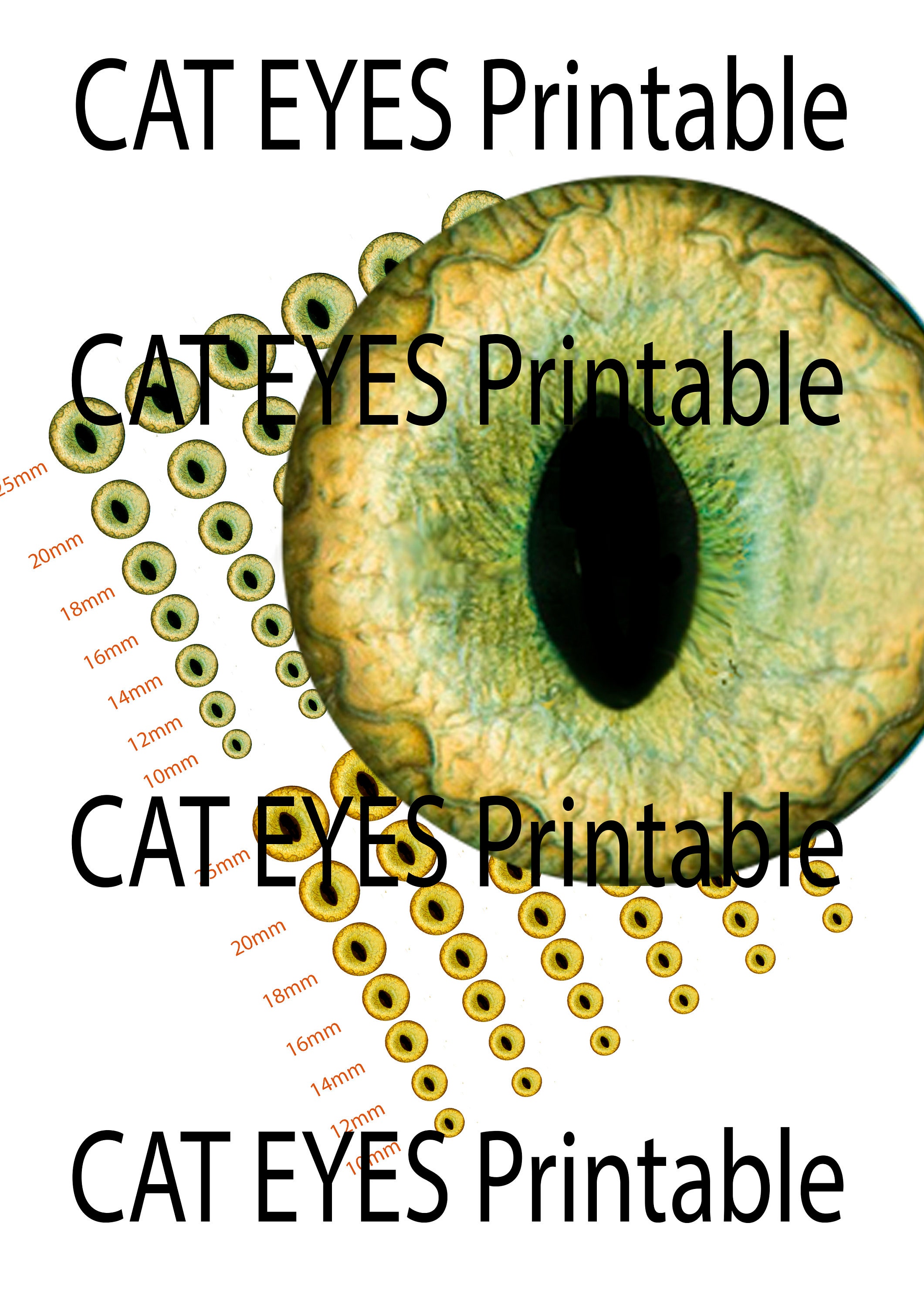 Cat Iris Chart