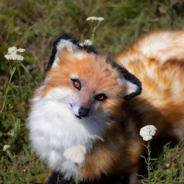Red Fox Plush - Etsy