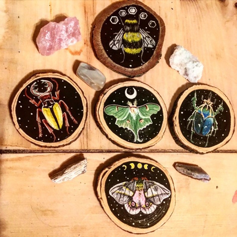 Insect Ornament/magnet/wall Decor - Etsy