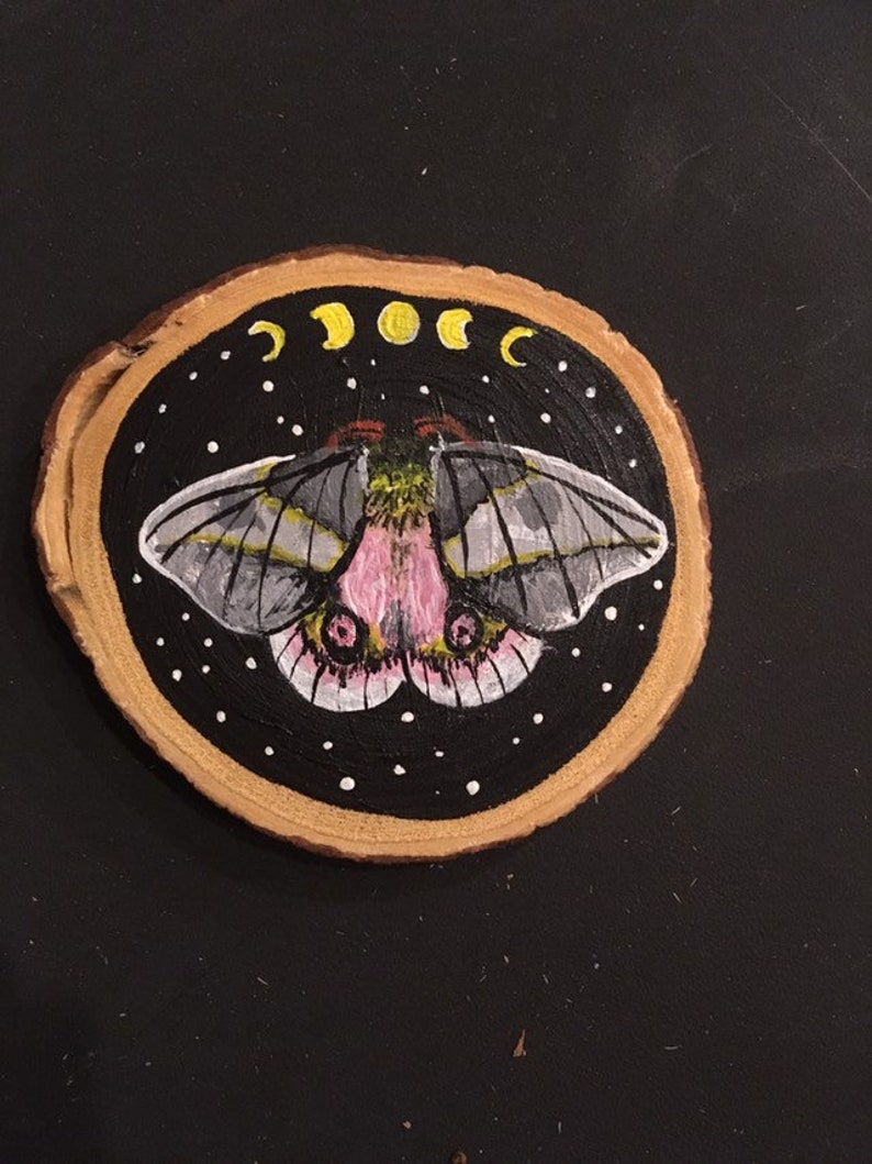 Insect Ornament/magnet/wall Decor - Etsy