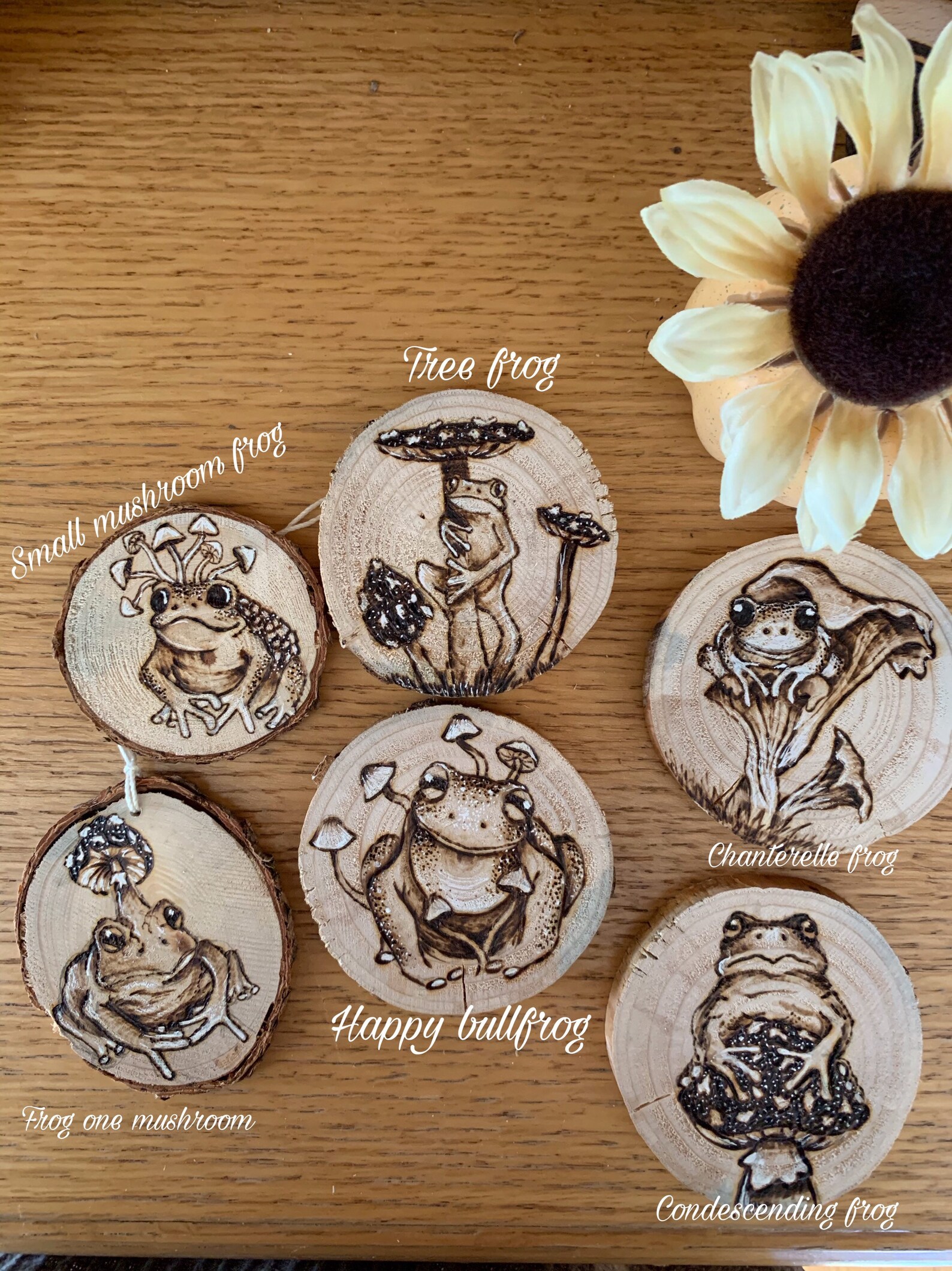 Cottagecore Detailed Frog/mushroom Coasters - Etsy
