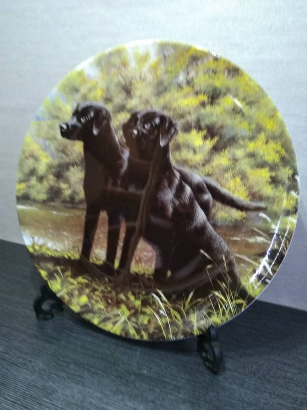 Wedgewood Decorative Black Labrador Plate. - Etsy