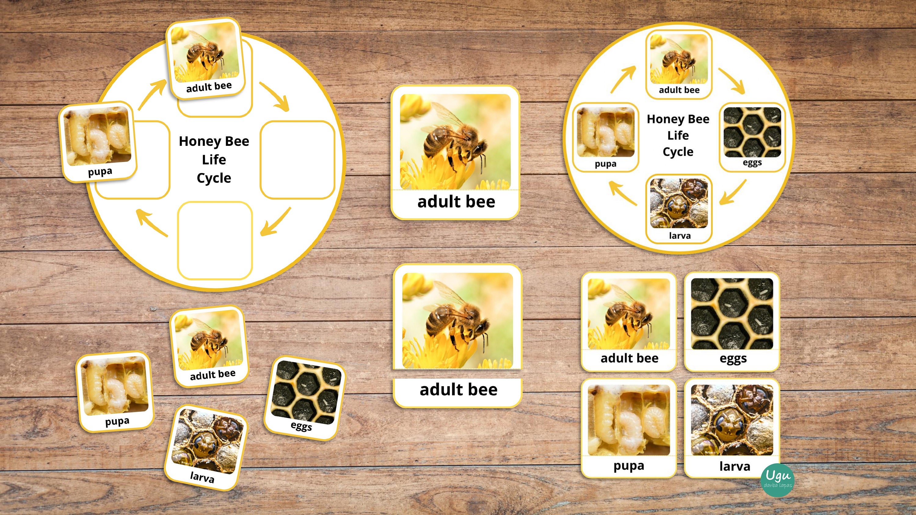 A Set of Life Cycles, Life Cycle, Printable Cards, Game, Posters ...