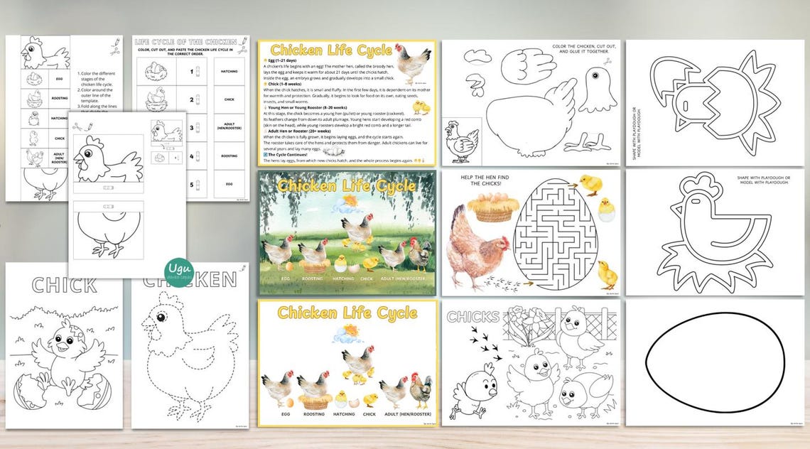 Chicken Life Cycle Activity: Hen Craft, Maze, Coloring Pages (PDF) - Etsy