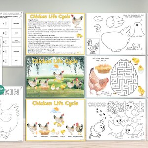 Chicken Life Cycle Activity: Hen Craft, Maze, Coloring Pages (PDF) - Etsy