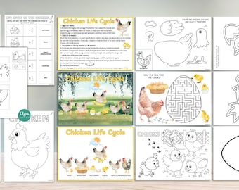 Chicken Life Cycle Activity | Chicken Craft Foldable Template | Life ...