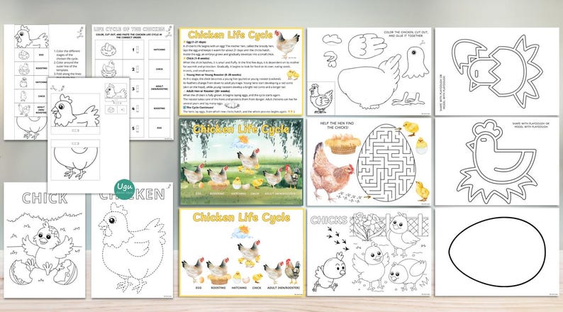 Chicken Life Cycle Activity, Hen Craft Activity, Chicken Craft, Life ...