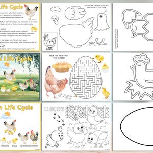 Chicken Life Cycle Activity, Hen Craft Activity, Chicken Craft, Life ...
