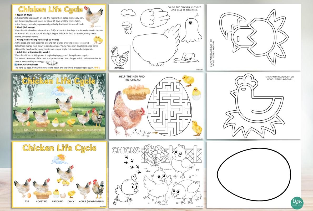 Chicken Life Cycle Activity: Hen Craft, Maze, Coloring Pages (PDF) - Etsy