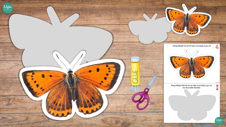 Buy Cut and Glue Insects Activity: Scissor Skills Practice (PDF ...