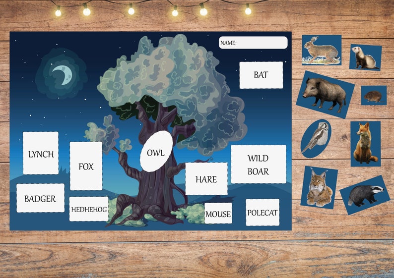 Day and Night Preschool Toddler Activities, Busy Binder,homeschool ...