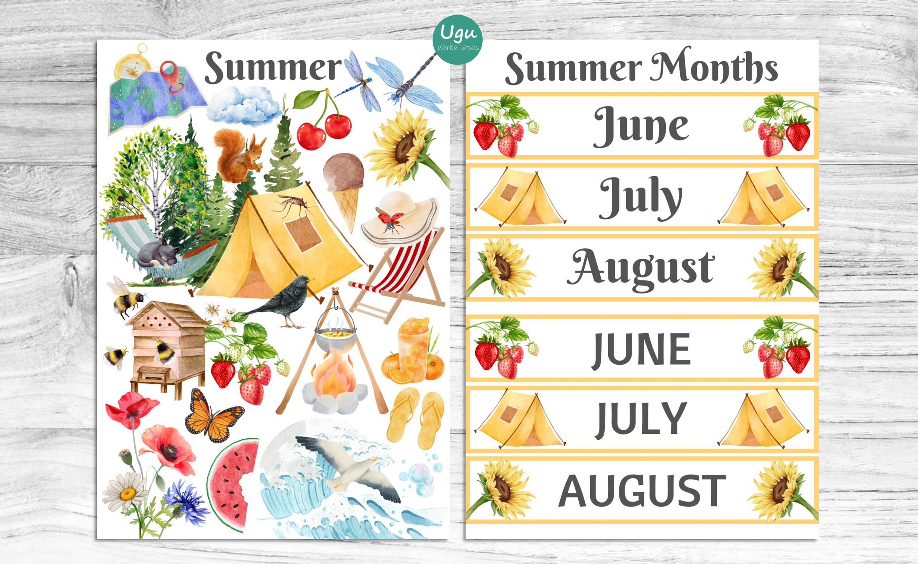 Months of the Year & 4 Seasons Printable, 4 Seasons, Spring Summer ...