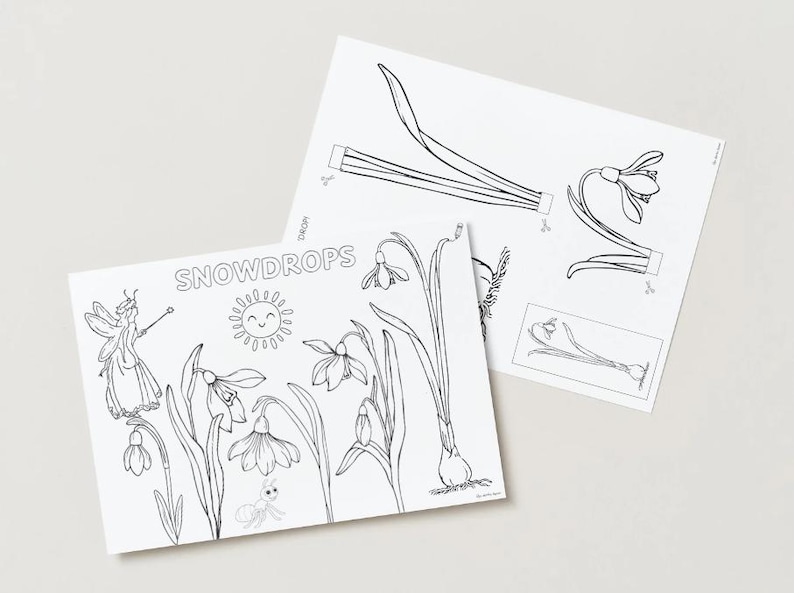 Snowdrop Life Cycle, Snowdrop Craft, Spring Activity, Preschool Spring ...