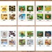 Life Cycle Printable Set: Homeschool Flashcards & Posters (PDF) - Etsy