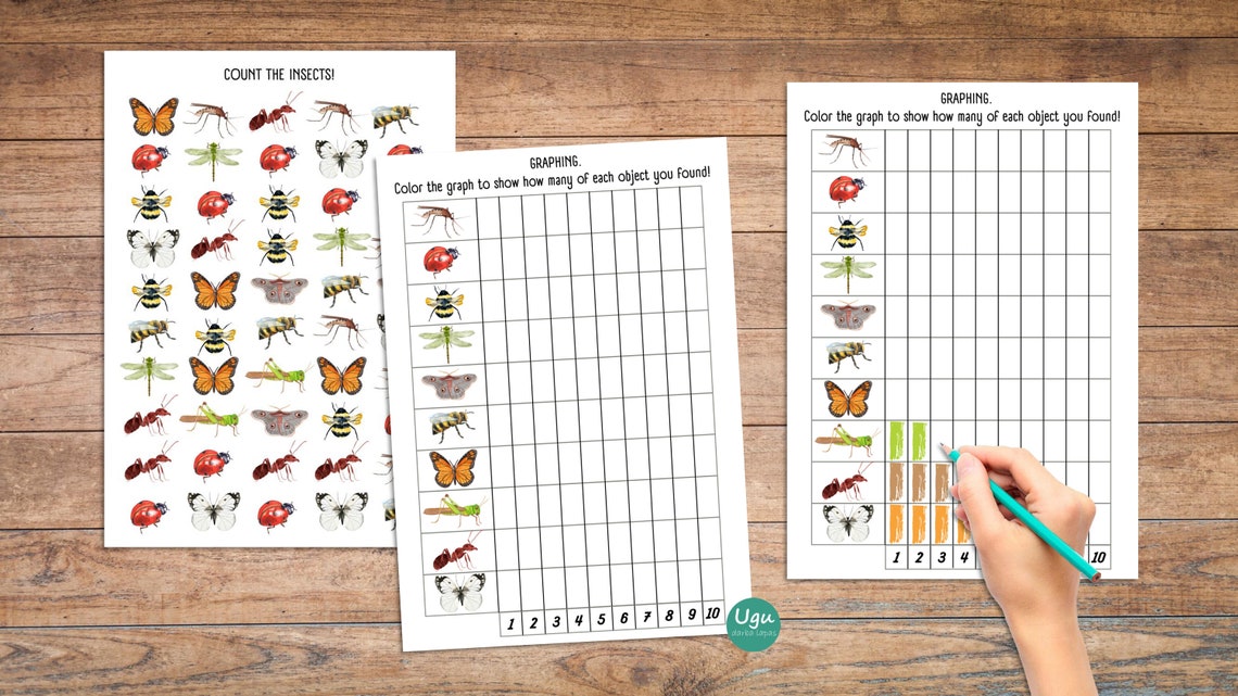 Bugs Graphing Activity: Spring Math Printable for Preschool (PDF) - Etsy