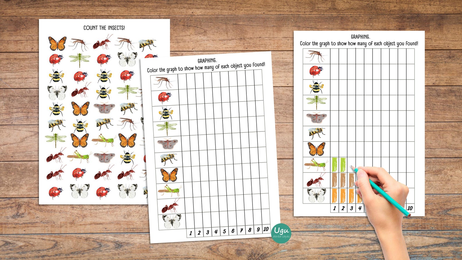 Insects, Bugs, and Spring Math Printables for Preschool – Fun Graphing ...