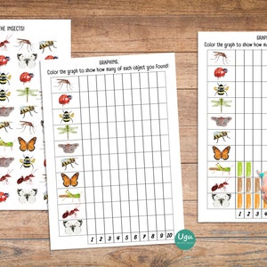 Insects, Bugs, and Spring Math Printables for Preschool – Fun Graphing ...