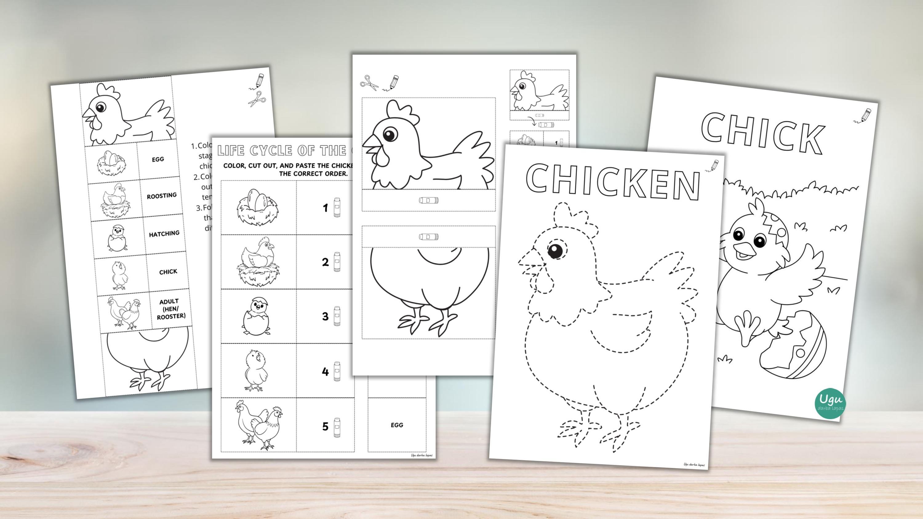 Chicken Life Cycle Activity, Hen Craft Activity, Chicken Craft, Life ...
