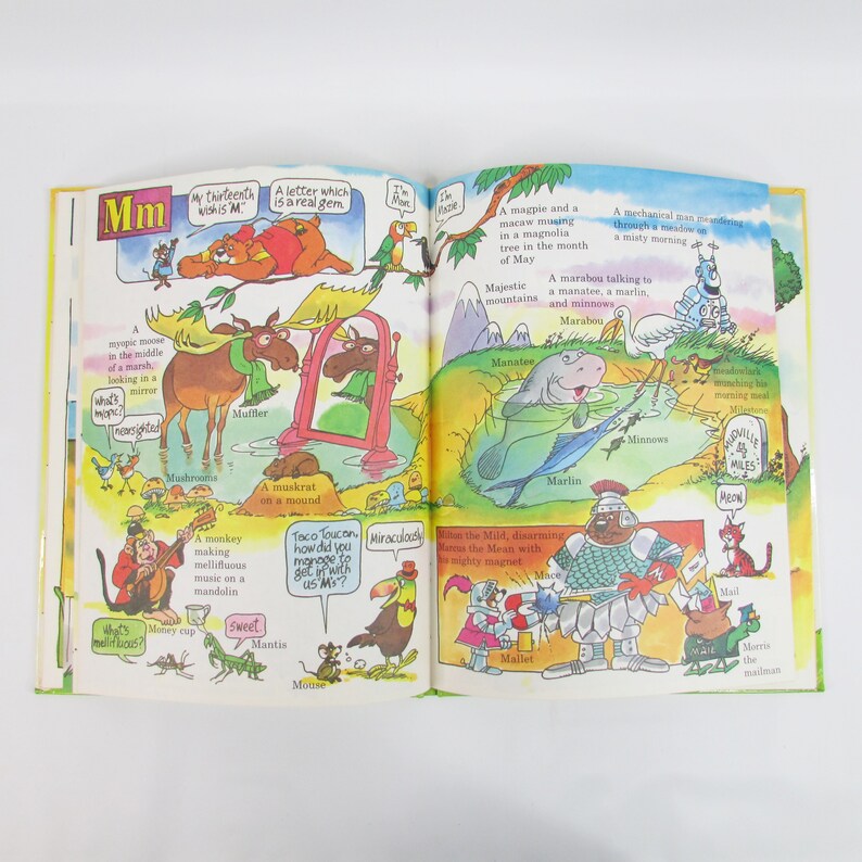 The Genie Bear With the Light Brown Hair WORD BOOK by David - Etsy