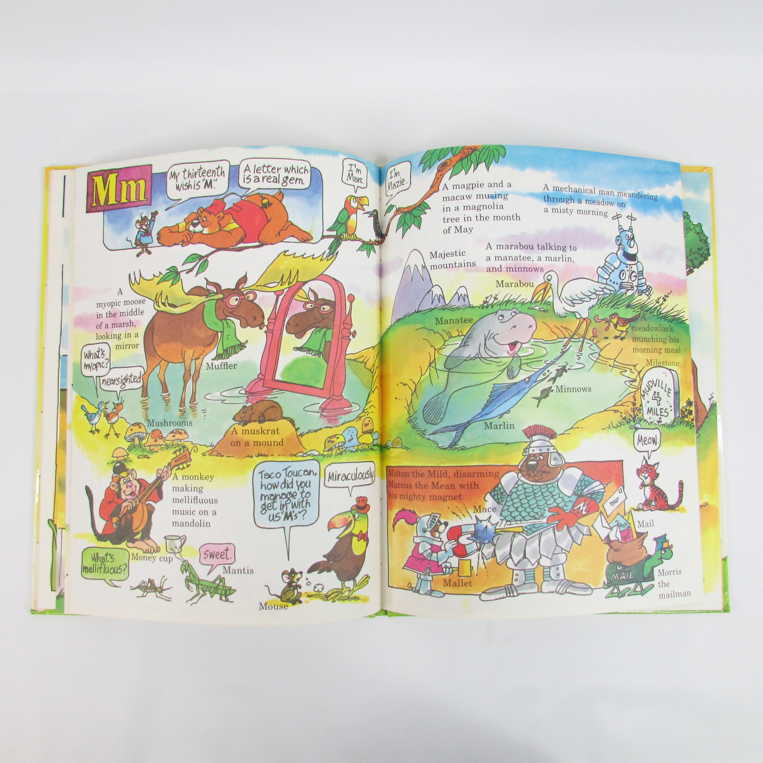 The Genie Bear With the Light Brown Hair WORD BOOK by David Gantz ...