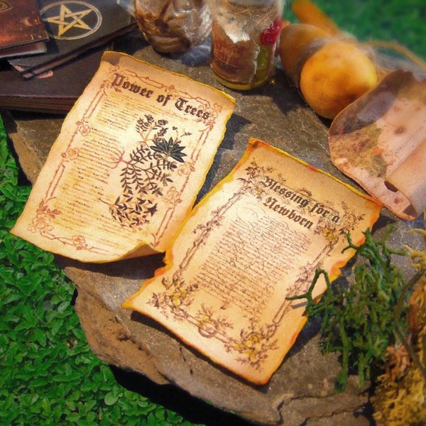 Miniature Scrolls - Etsy